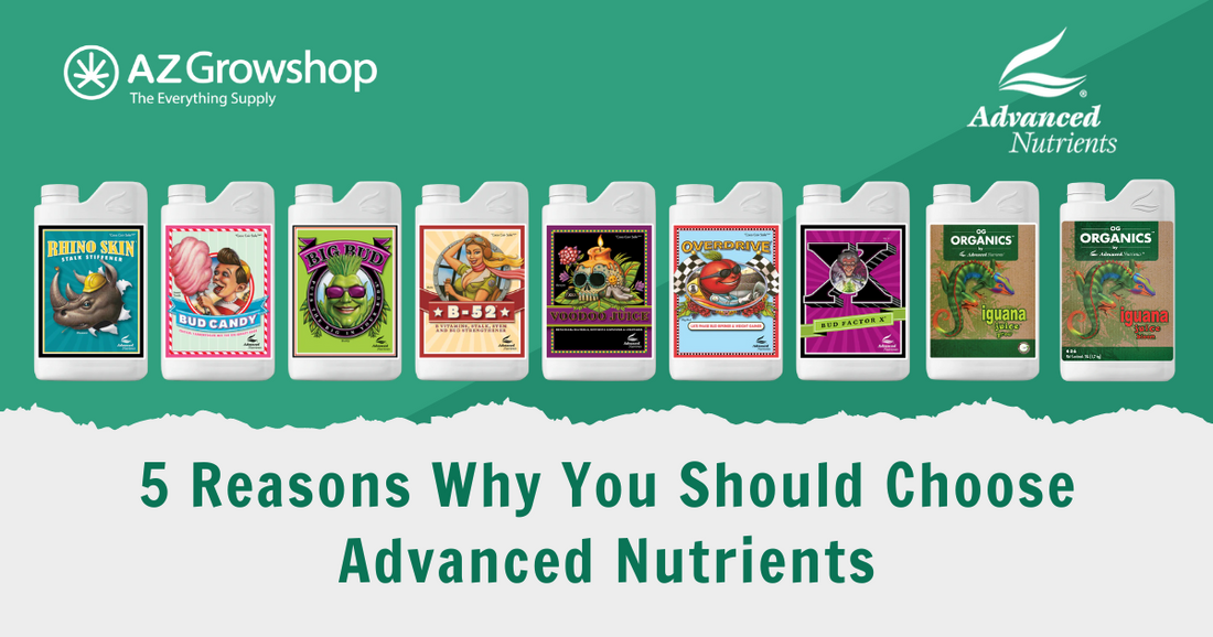 5 Reasons Why You Should Choose Advanced Nutrients - Boost Your Plant Yield