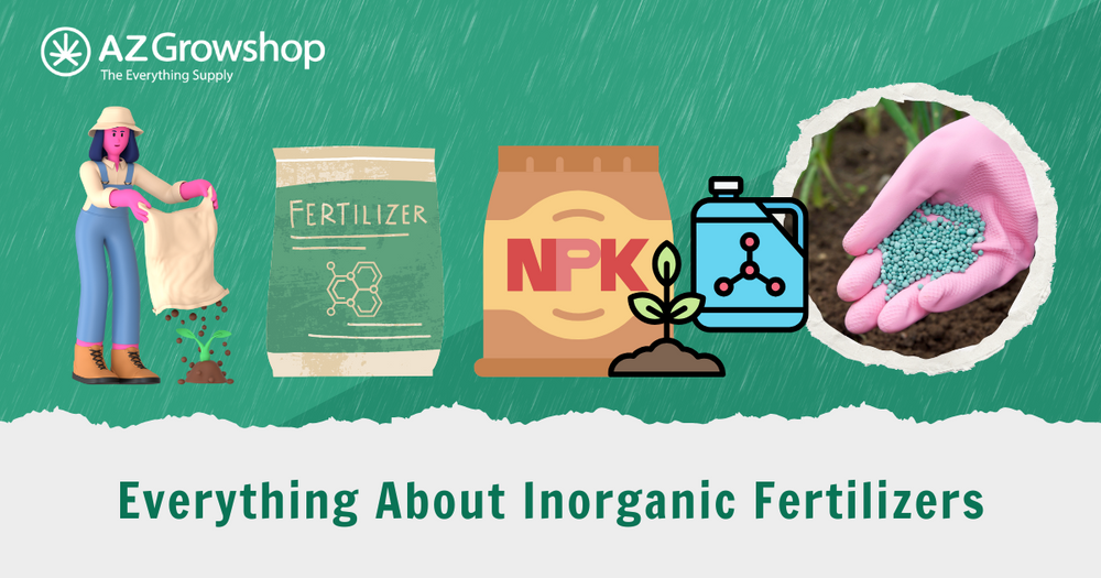 Everything About Inorganic Fertilizers