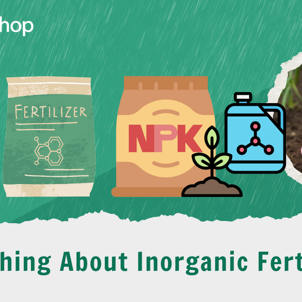 Inorganic